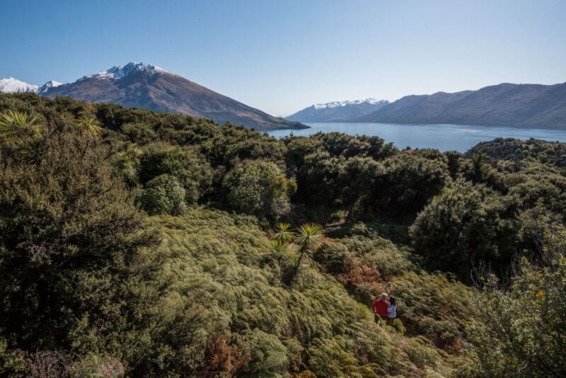 Wanaka: Water Taxi & Mou Waho Island Tour - Relaxation & Refreshment Options