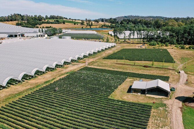 Wander the Tamar Valley - An In-Depth Look at the Tamar Valley Tour