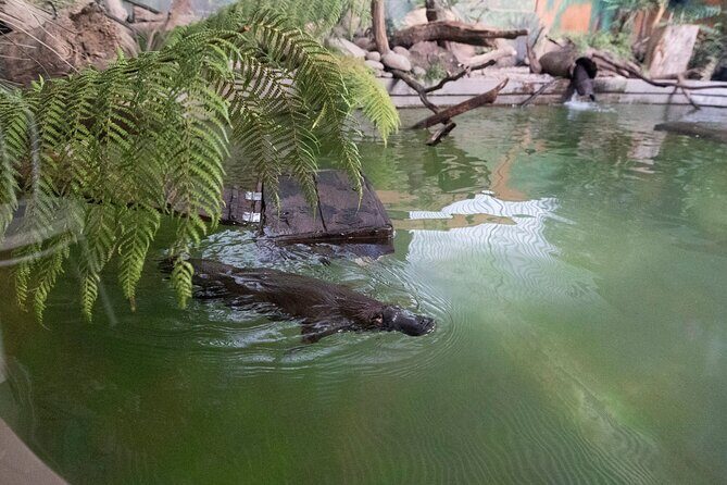 Wander the Tamar Valley - Who Should Consider This Tour?