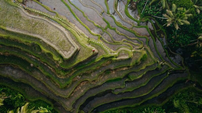 Wanderlust birthday photo and video with drone and Editing - An In-Depth Look at the Experience