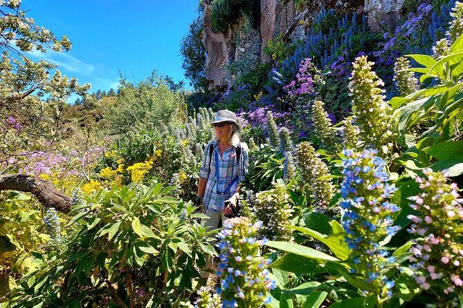 Wanderungen im grünen Gran Canaria - Visualizing the Blooms: What Will You See?