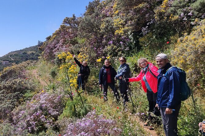 Wanderungen im grünen Gran Canaria - Final Thoughts: Who Should Join?