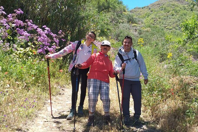 Wanderungen im grünen Gran Canaria - FAQ
