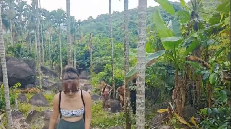 Wanning: Walking Tour in Xinglong Triangle Rainforest - FAQ