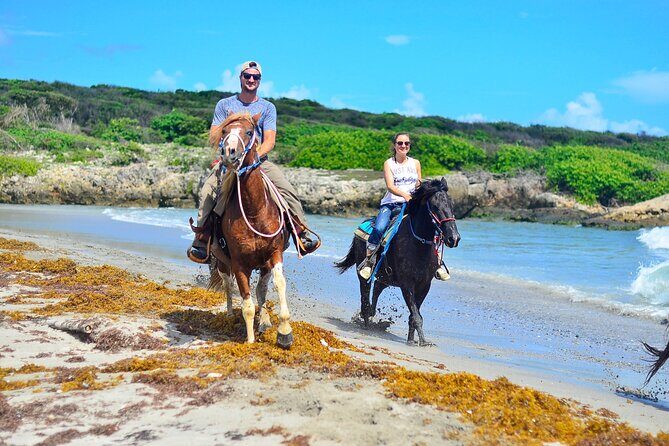 Want to Learn to Gallop at Bavaro Punta Cana Beach! - What Travelers Are Saying