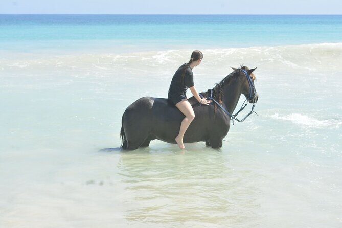 Want to Learn to Gallop at Bavaro Punta Cana Beach! - The Sum Up: Who Is This Tour Best For?