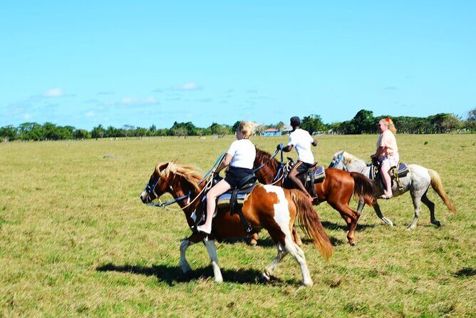 Want to Learn to Gallop at Bavaro Punta Cana Beach! - FAQ: Frequently Asked Questions