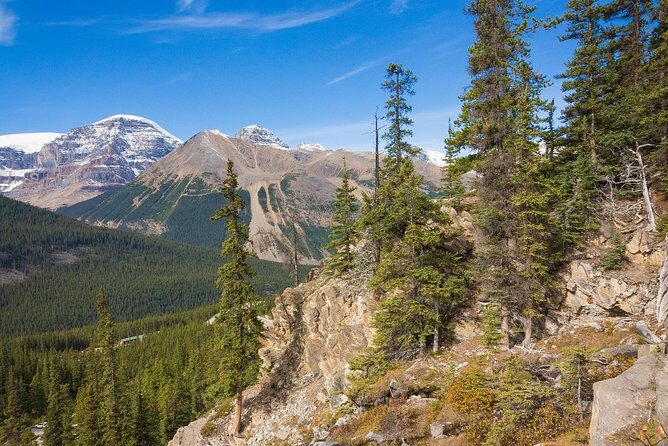 Wapiti - Uncover the Beauty of Western Canada (7-days) - The Sum Up: Is the Wapiti 7-Day Tour Worth It?
