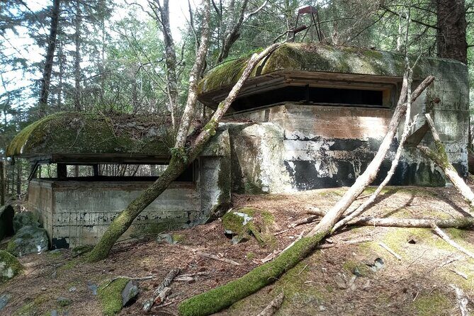 War Bunkers and Wildlife Kayak Tour in Sitka, Alaska - Meeting at Crescent Harbor