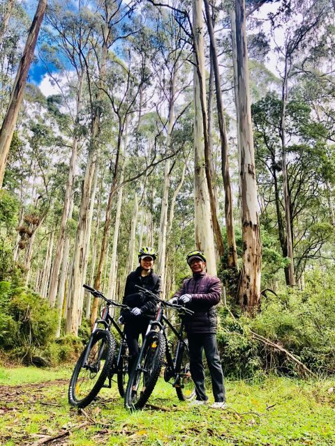Warburton: Redwood Forest Mountain Bike Adventure - Who Should Consider This Tour?