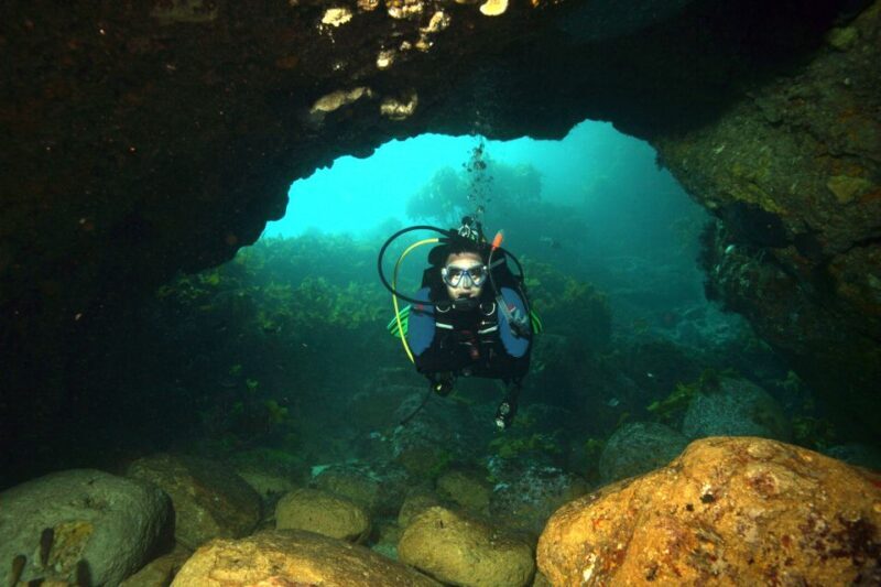 Warkworth: Full-Day Scuba Dive Charter at Hen and Chickens - What’s Included & What’s Not
