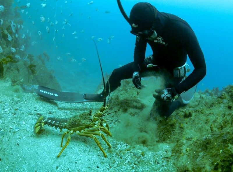 Warkworth: Full-Day Spearfishing Charter - Warkworth: Full-Day Spearfishing Charter — An Authentic Underwater Adventure in New Zealand