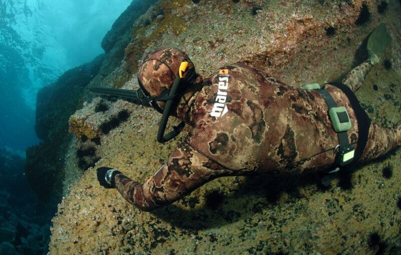 Warkworth: Full-Day Spearfishing Charter - An In-Depth Look at the Warkworth Spearfishing Experience