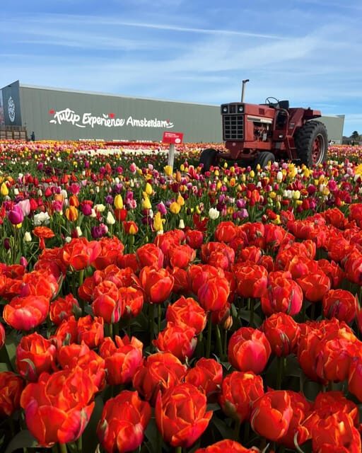 Warmond: Kagerplassen Cruise with "Tulip Experience" Ticket - The Experience: A Closer Look at What Travelers Can Expect