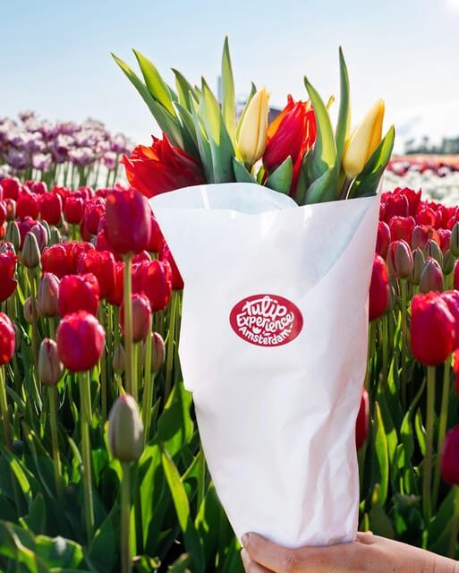 Warmond: Kagerplassen Cruise with "Tulip Experience" Ticket - FAQs
