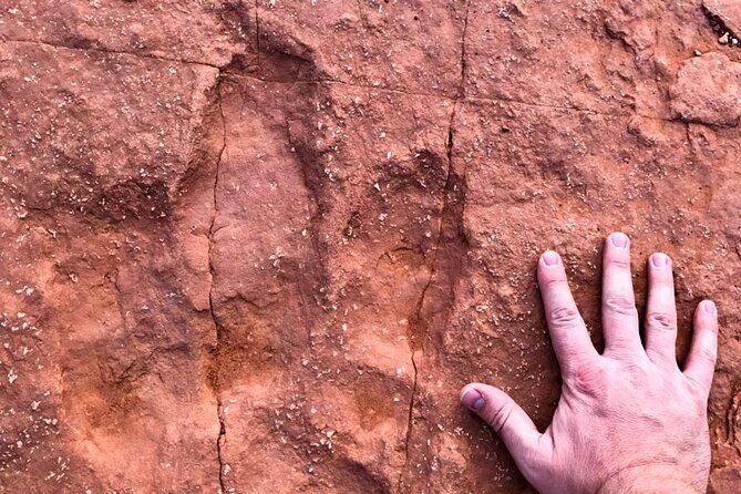 Warner Valley Dinosaur Track Site 4x4 Tour - An In-Depth Look at the Warner Valley Dinosaur Track Tour
