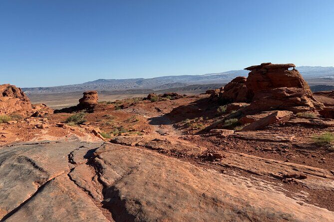 Warner Valley Dinosaur Track Site 4x4 Tour - FAQ