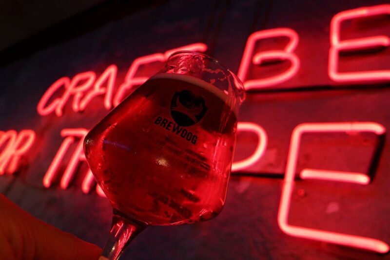Warsaw: Guided Craft Beer Tour - Who Will Love This Tour?