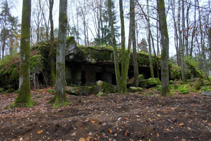 Warsaw: Private Full-Day Wolf's Lair Tour - Exploring the Wolf’s Lair: What to Expect