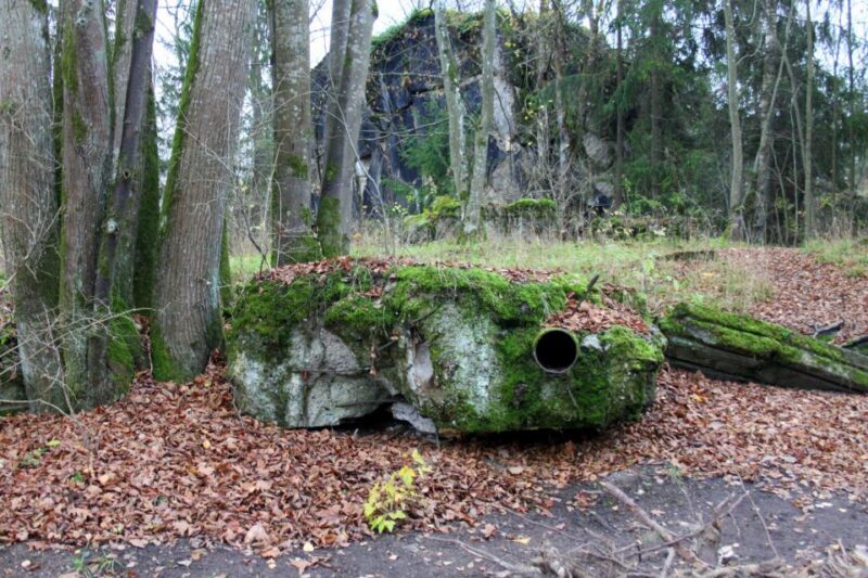 Warsaw: Private Full-Day Wolf's Lair Tour - The Price and Its Value