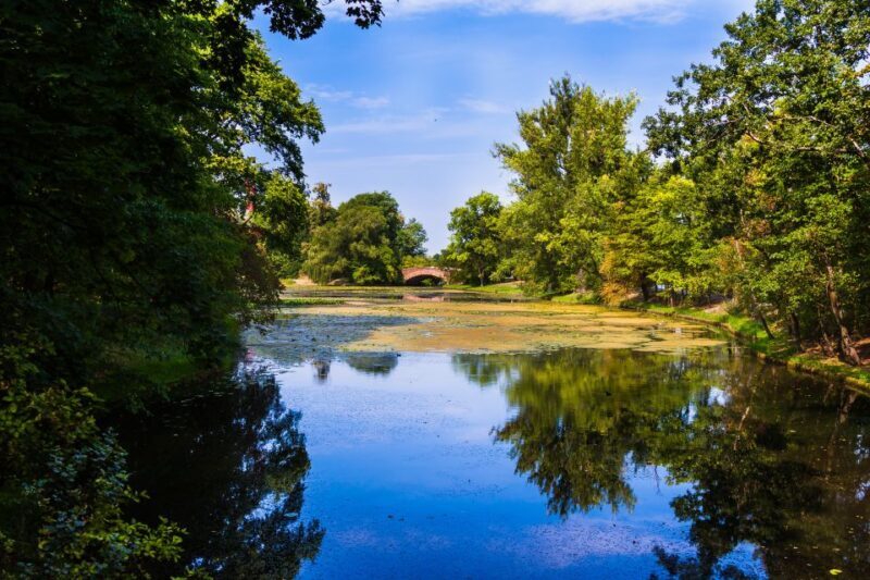 Warsaw Private Wilanow Palace & Garden Tour - How the Experience Looks in Real Life