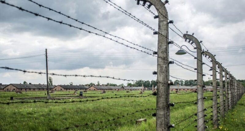 Warsaw: Tour to Auschwitz-Birkenau & Krakow starting 6:30 am - Key Points