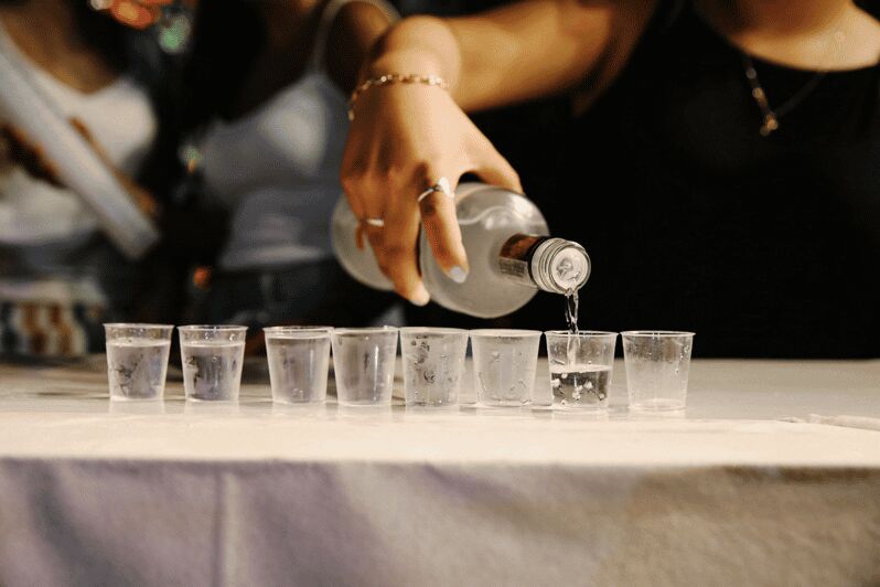 Warsaw: Vodka Tour - Introduction: Is this Vodka Tour Worth Your Time?