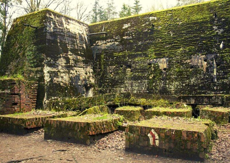 Warsaw: Wolf's Lair & Swieta Lipka Small-Group Tour + Lunch - What Makes This Tour Worthwhile?