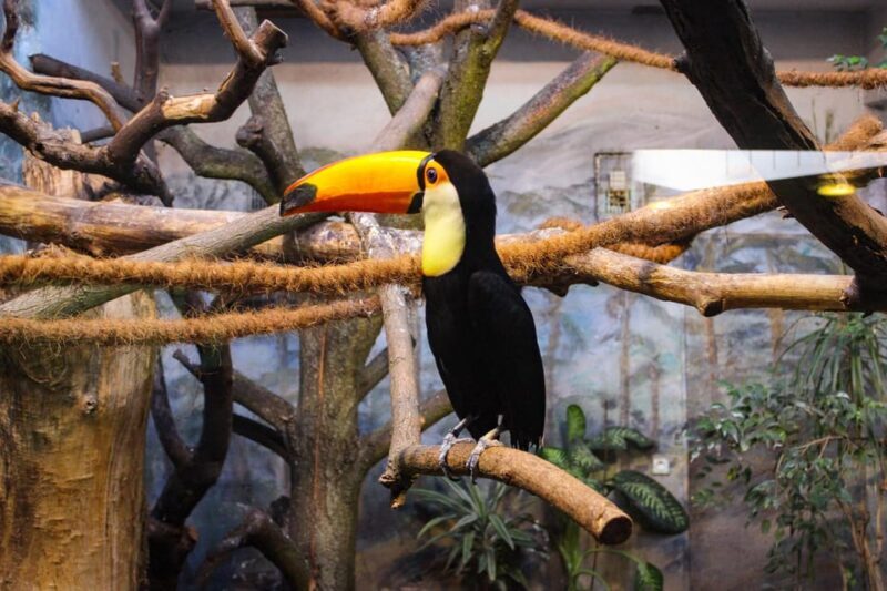 Warsaw Zoo Skip-the-Line Entry Ticket with Private Transport - Why This Tour Works for Travelers