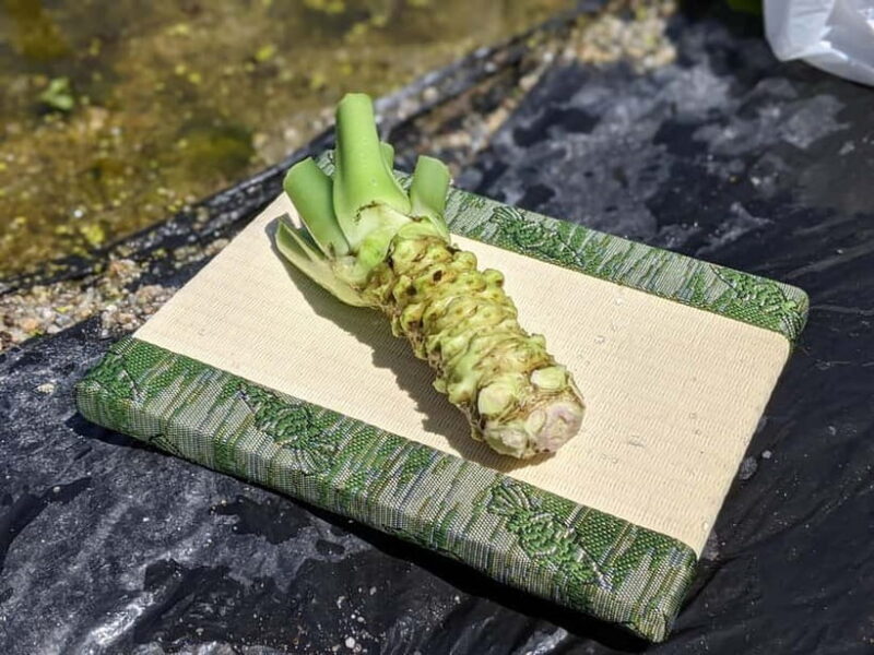 Wasabi Farm Walking Tour with Lunch - FAQ: Your Practical Questions Answered