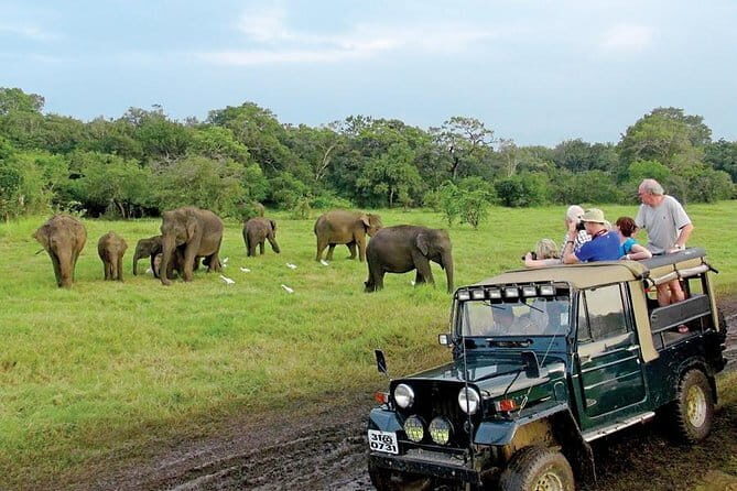 Wasgamuwa National Park Entrance Ticket with Private Safari - Final Thoughts: Is It Worth It?