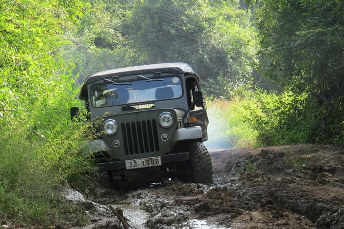 Wasgamuwa National Park Safari from Kandy - The Journey Begins: From Kandy to Wasgamuwa National Park