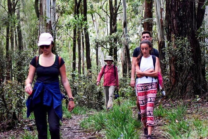 Wasgamuwa National Park Safari from Kandy - FAQs