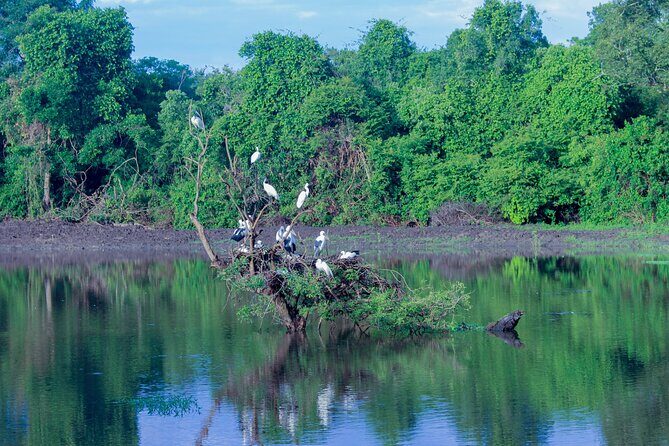 Wasgamuwa National Park Safari | Jeep with Tickets - Frequently Asked Questions