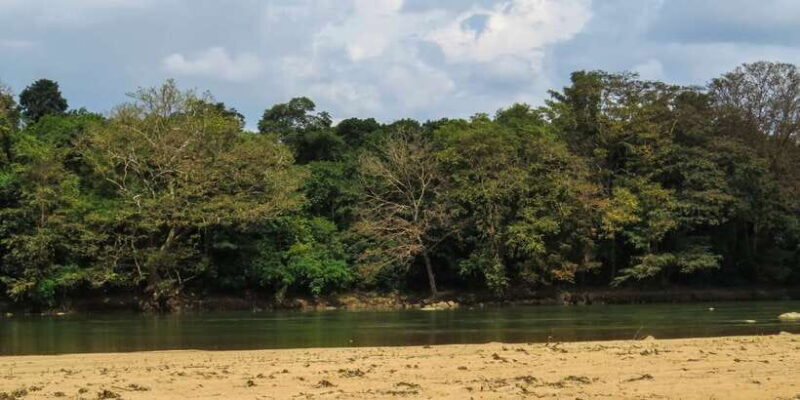 Wasgamuwa: Wasgamuwa National Park Private 3-Hour Safari - Who Will Love This Tour?
