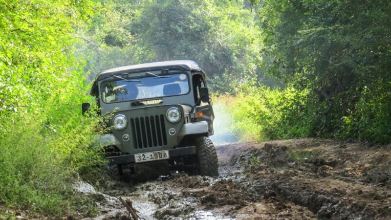 Wasgamuwa: Wasgamuwa National Park Private 3-Hour Safari - FAQ