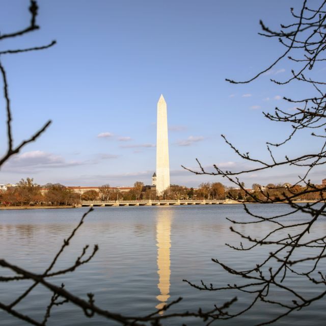 Washington: Cherry Blossom Tour - Final Thoughts
