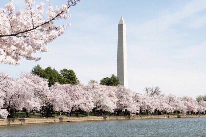 Washington, D.C. Day-Time City Tour - Authenticity and Review Highlights