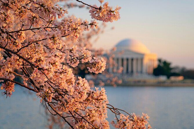 Washington D.C.& Philadelphia 2-Day Tour from New York City - Authentic Experiences and Review Highlights