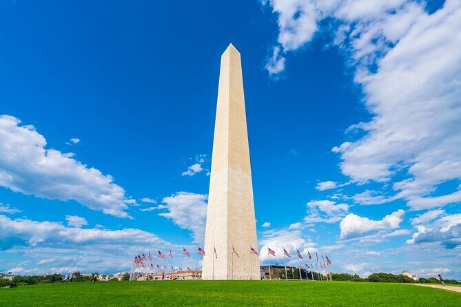 Washington D.C. Tour from New York - Who Should Book This Tour?