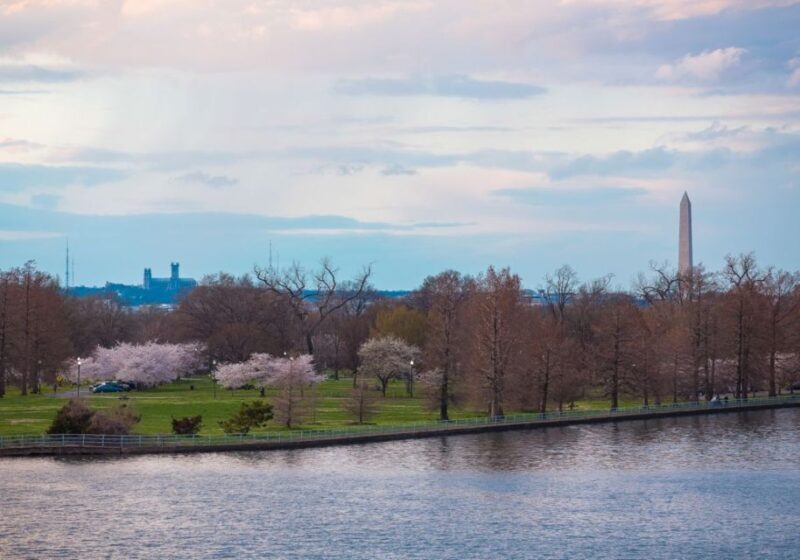 Washington DC: 1 or 2-Day Unlimited Water Taxi Pass - Who Should Consider This?