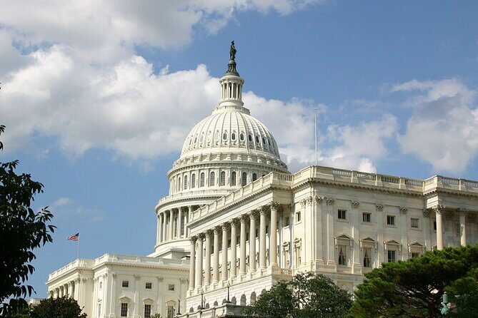 Washington DC All Day Tour: Day & Night-Time Combo Sightseeing Experience - Who Is This Tour Best For?