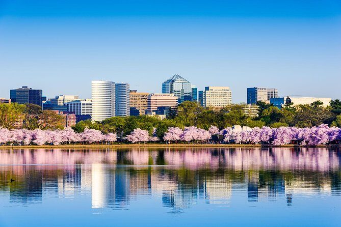 Washington DC and Philadelphia in One Day from NYC - Logistics and Experience: What You Can Expect