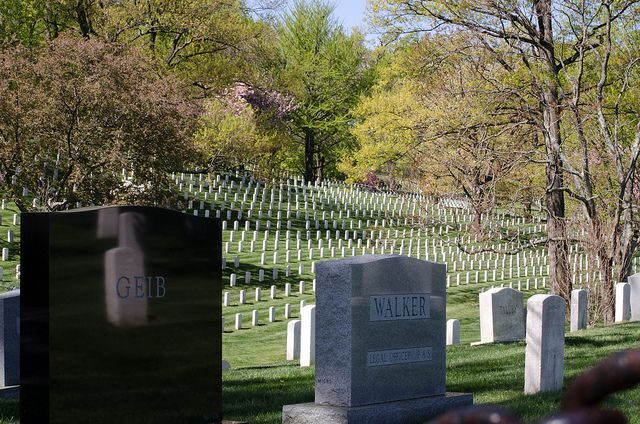 Washington DC: Arlington Nat. Cemetery Ticket & Tram Tour - What Makes This Tour Stand Out