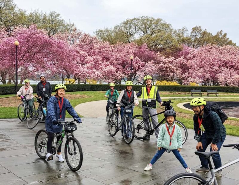 Washington DC: Cherry Blossom Festival Tour by Bike - Introduction: An Alluring Blend of Nature and History
