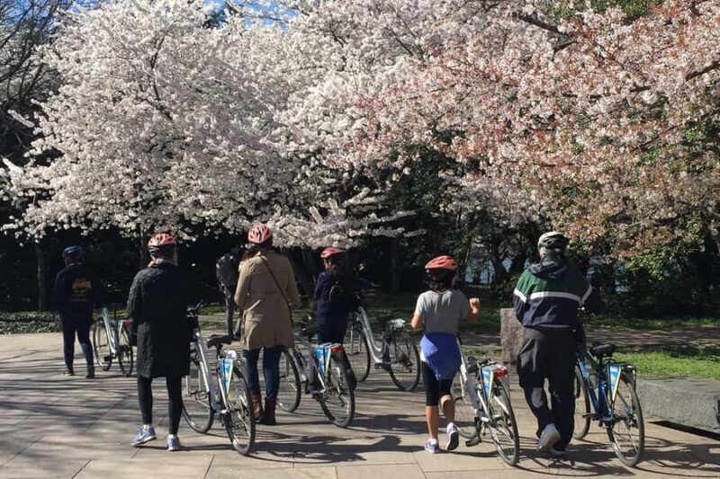 Washington DC: Cherry Blossom Festival Tour by Bike - Authentic Reviews: What Others Say
