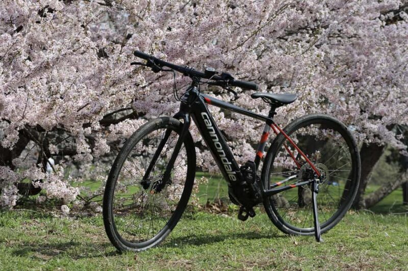 Washington DC: Cherry Blossom Festival Tour by Bike - The Sum Up: Who Should Consider This Tour?