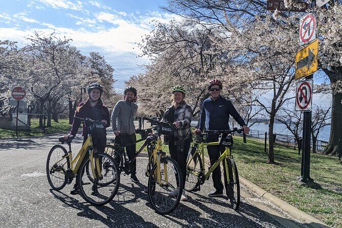 Washington DC Cherry Blossoms By Bike Tour - What to Expect During the Ride