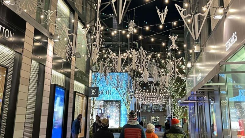 Washington, DC: Christmas Tree & Holiday Lights Bus Tour - Key Points