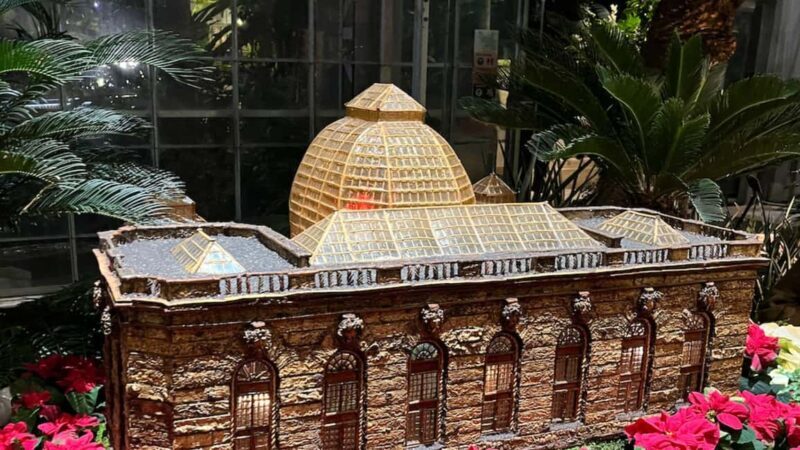 Washington, DC: Christmas Tree & Holiday Lights Bus Tour - An In-Depth Look at the Tour Experience